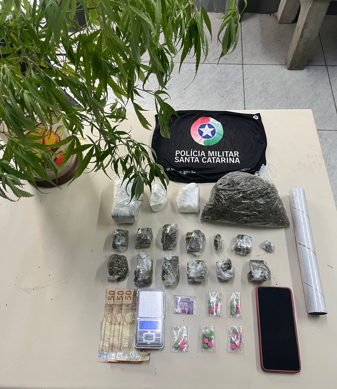 Com Mais De R 20 Mil Em Drogas Traficante é Presa No Monte Castelo